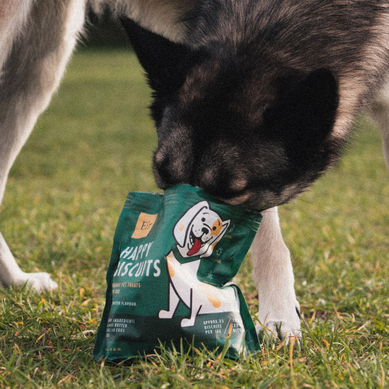 Olejki CBD i Naturalne Suplementy – Eir Health Polska